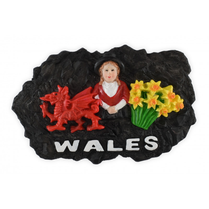 Welsh Magnets